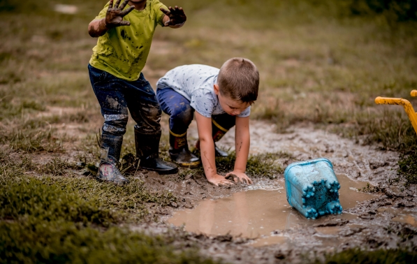 Research Report: Bacteria Hubs